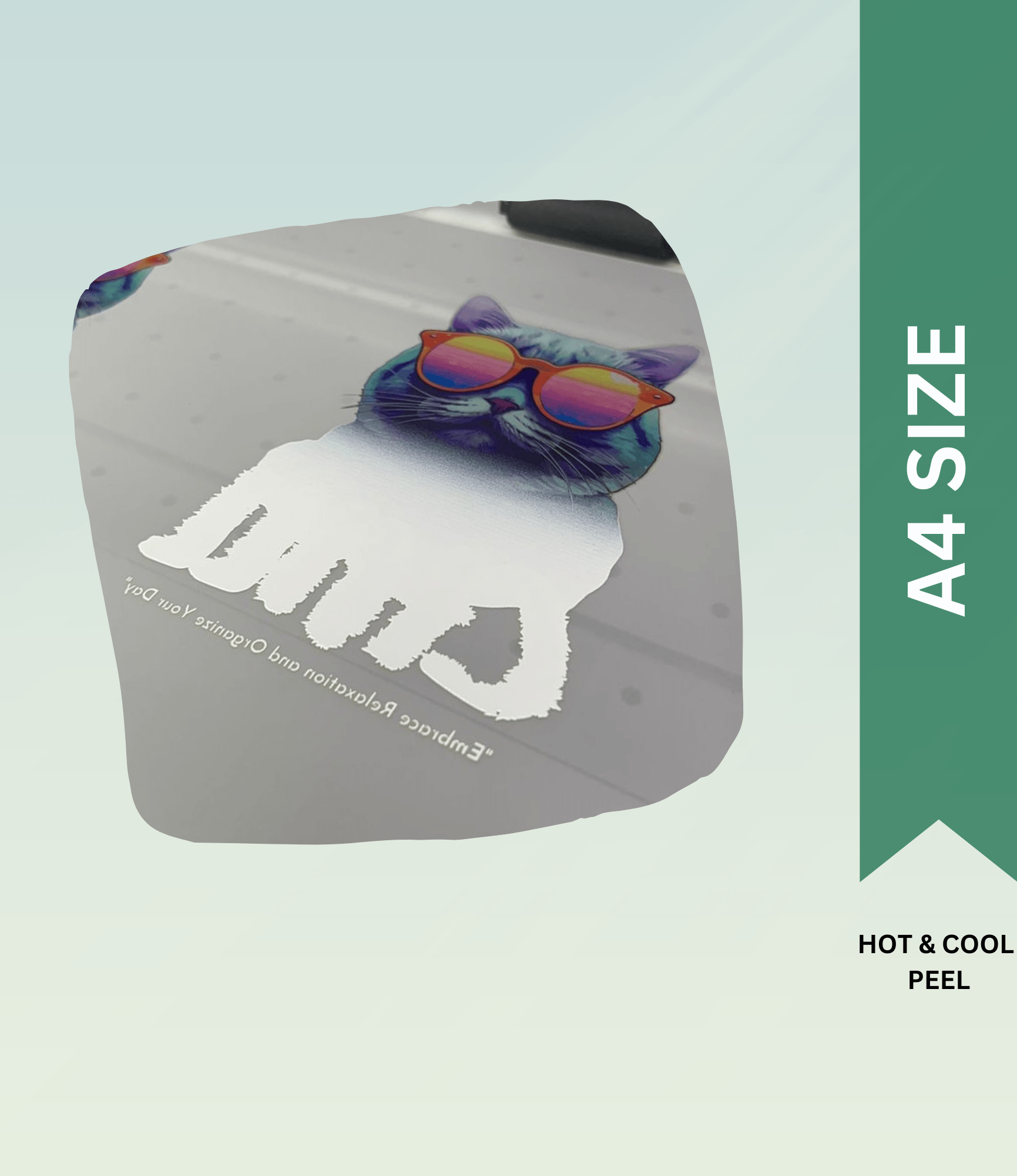 DTF Film Transfers / Gang Sheets (A4) (21cm x 30cm) – DTF Pro ...